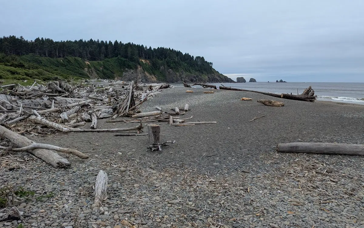 First Beach La Push: Off-Leash Dog Adventures on the Olympic Coast ...