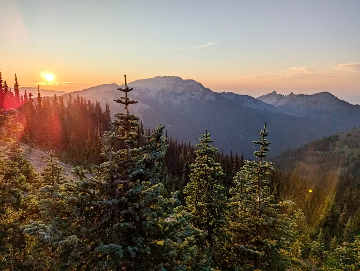 Hurricane Ridge in Olympic National Park: Scenic Drive, Best Hikes ...