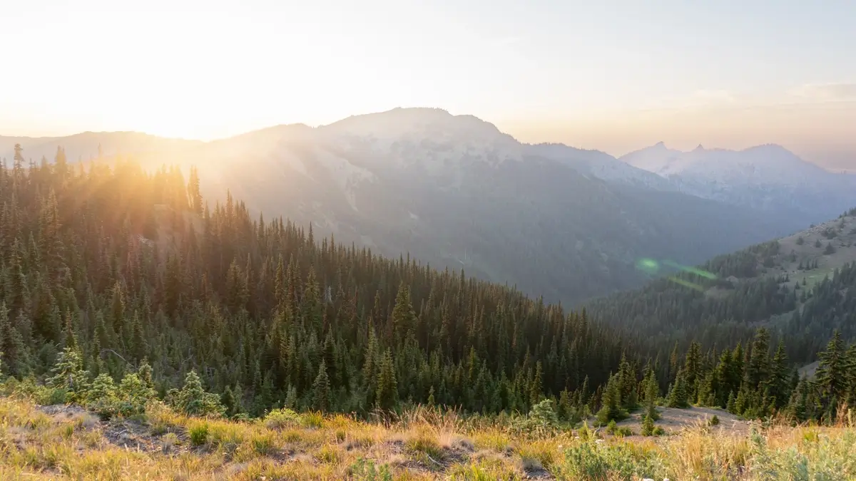 Hurricane Ridge in Olympic National Park: Scenic Drive, Best Hikes ...